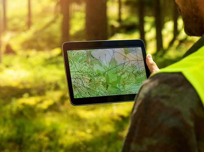 Performing Line of Sight Analysis