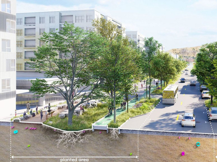 Dynamic Downtowns at Various Scales