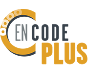 Thanks to Our Sponsors