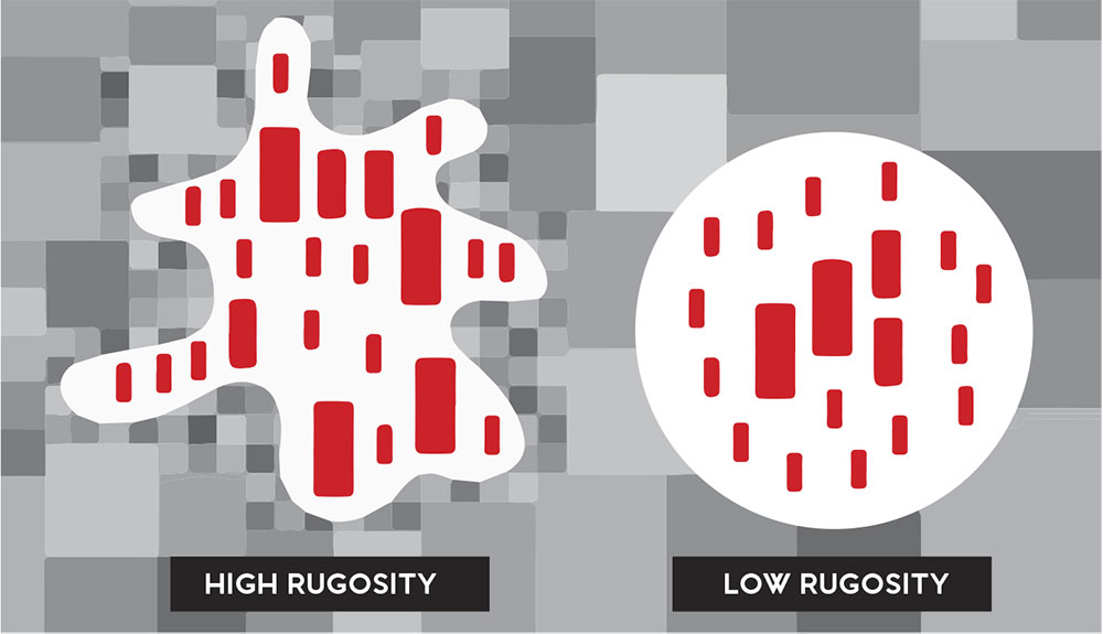 Rugosity as a New Planning Paradigm