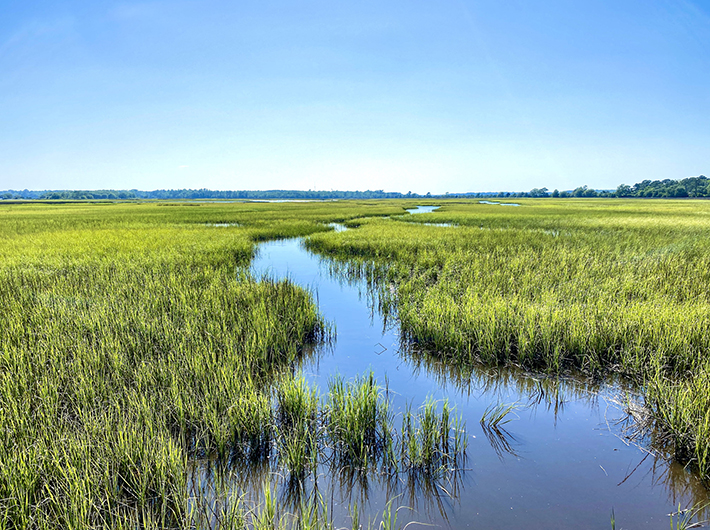 Regional Climate Adaptation