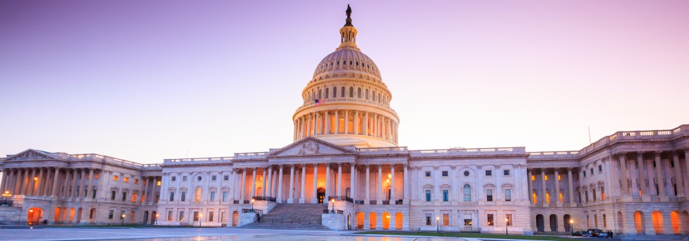 Politics and Geopolitical Dynamics