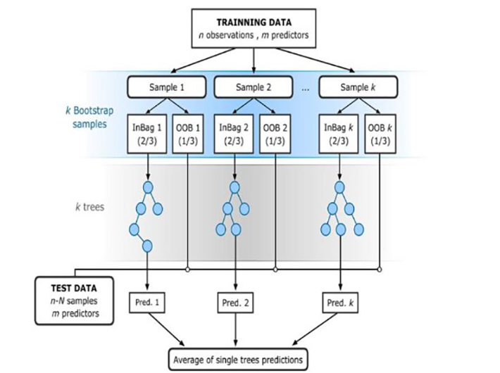 Filling Gaps: Predicting Neighborhood Characteristics Using Machine ...