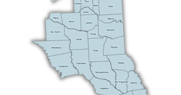 APA Texas Chapter