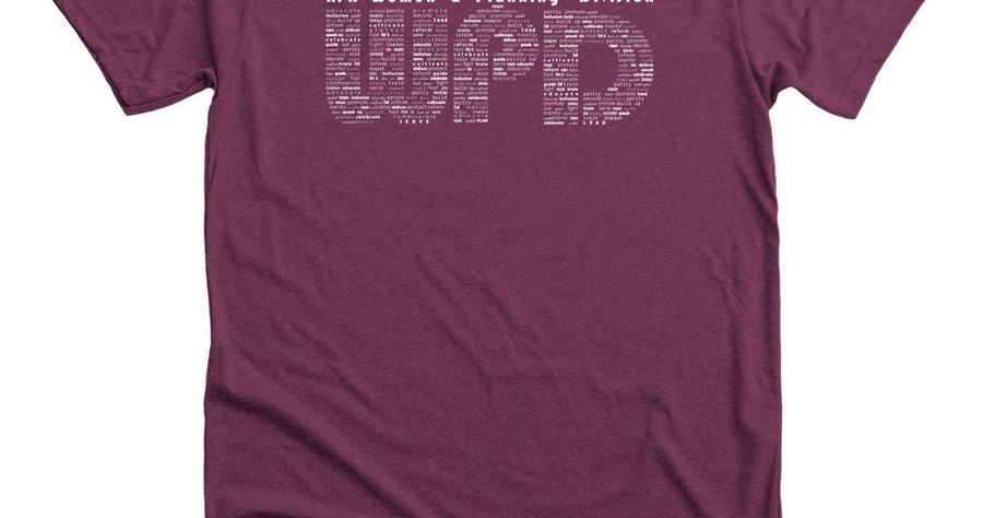 APA Women and Planning Division