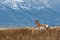 Passport - Innovation