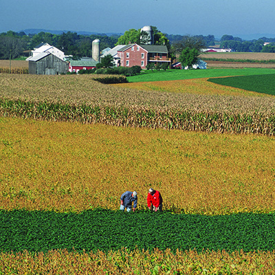 Research KnowledgeBase